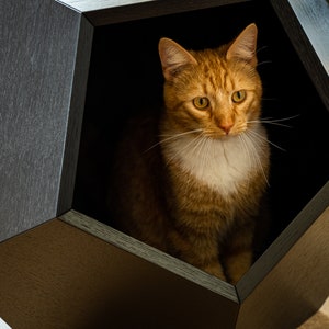 Modern Oak Veneered Black Painted Mdf Cat Bed Cat Cave Premium Designer ...