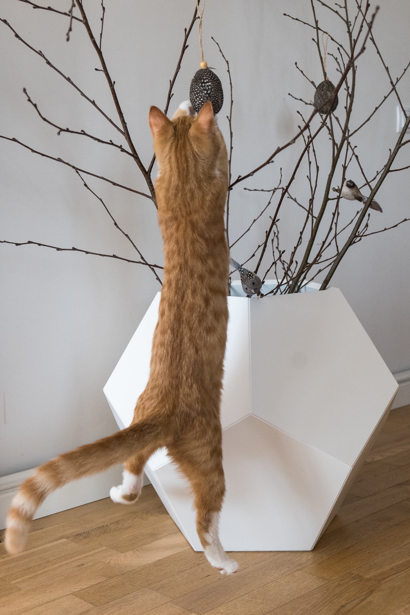 Modern White Painetd Mdf Cat Bed Cat Cave Premium Designer Cat - Etsy