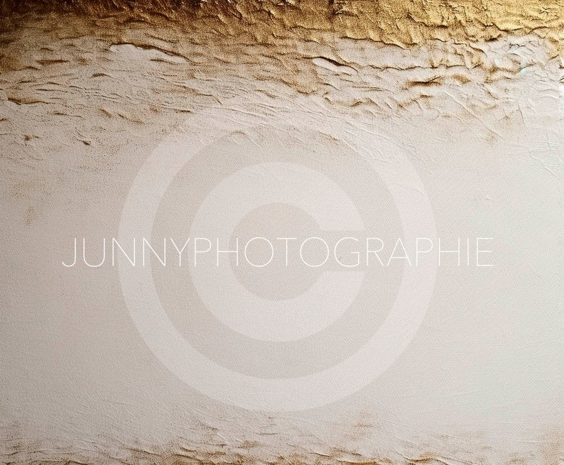 9 Gold and Cream Overlay for Photoshop, Photography Background, Fine ...