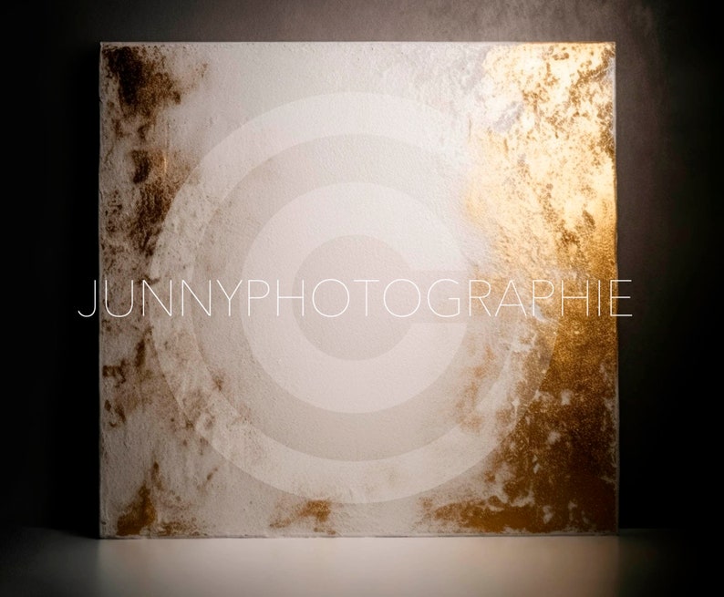 9 Gold and Cream Overlay for Photoshop, Photography Background, Fine ...