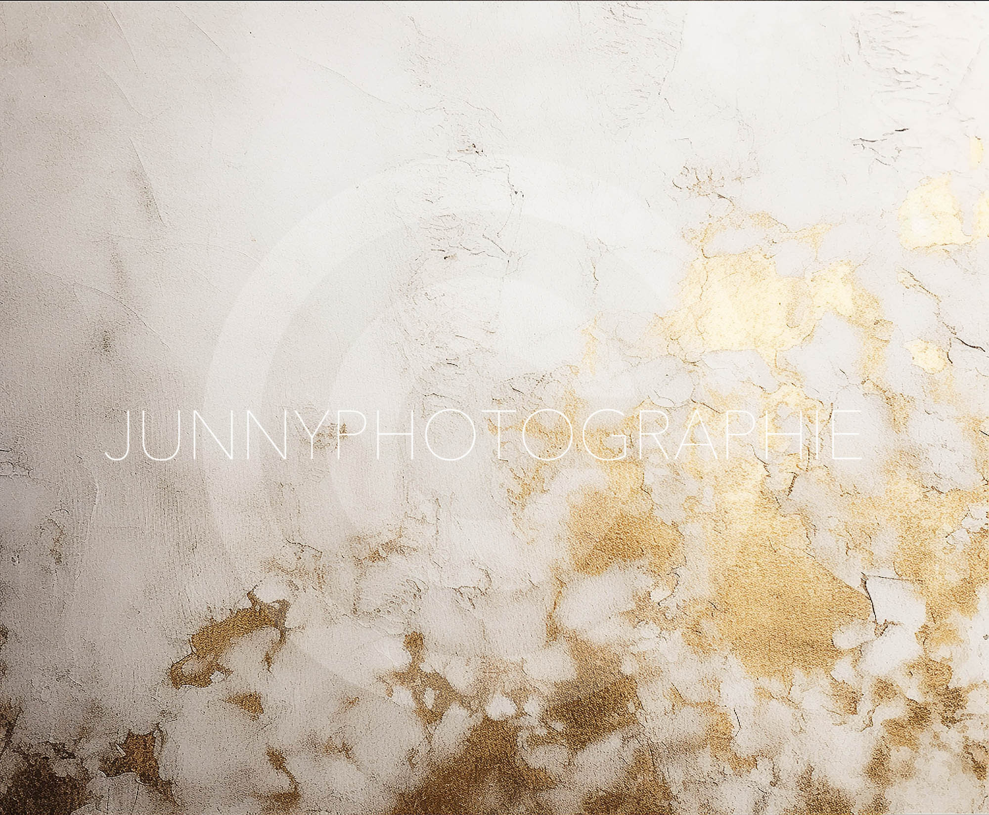 9 Gold and Cream Overlay for Photoshop, Photography Background, Fine ...