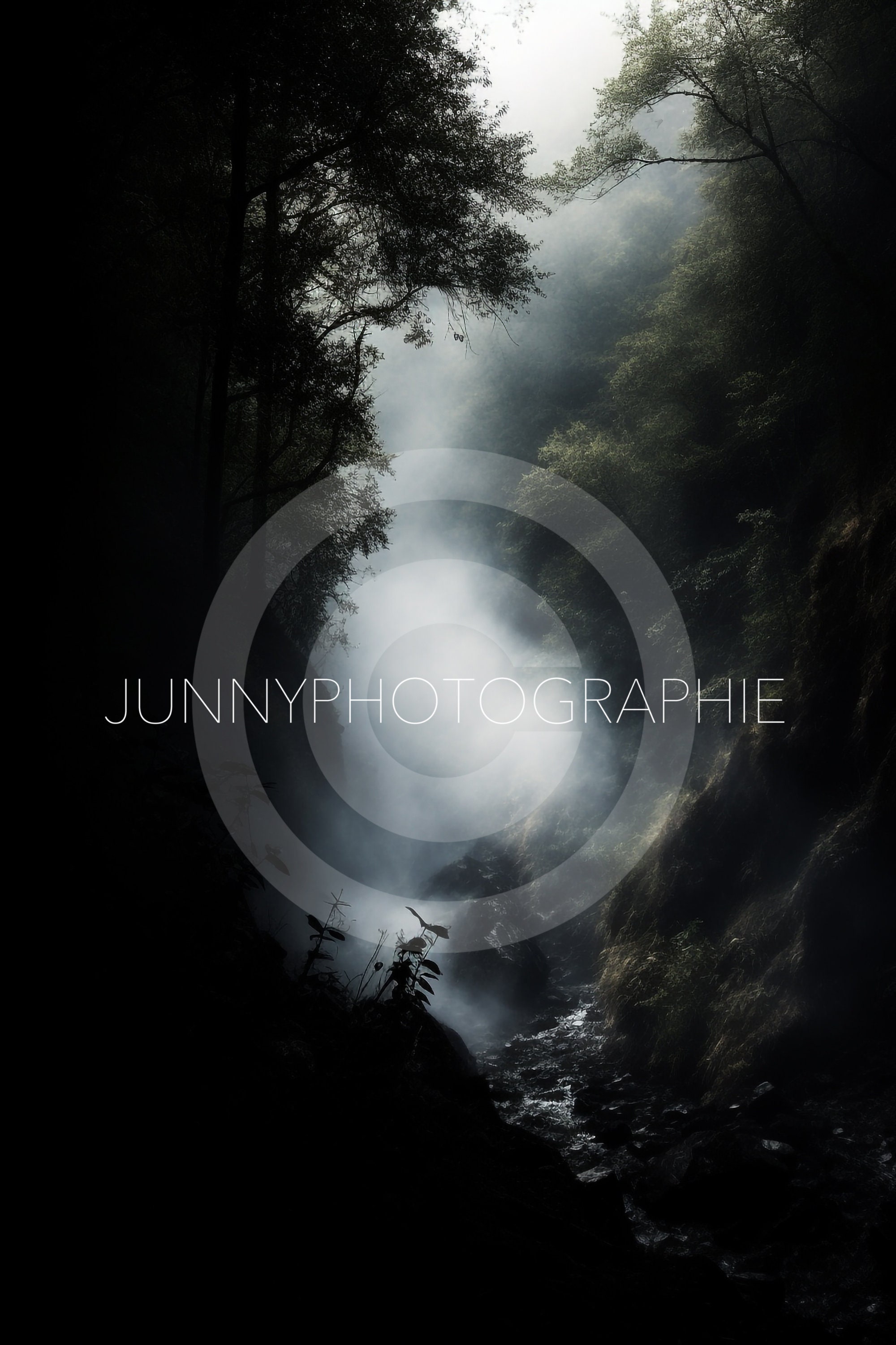 12 Dramatic Landscape Digital Background for Photoshop - Etsy