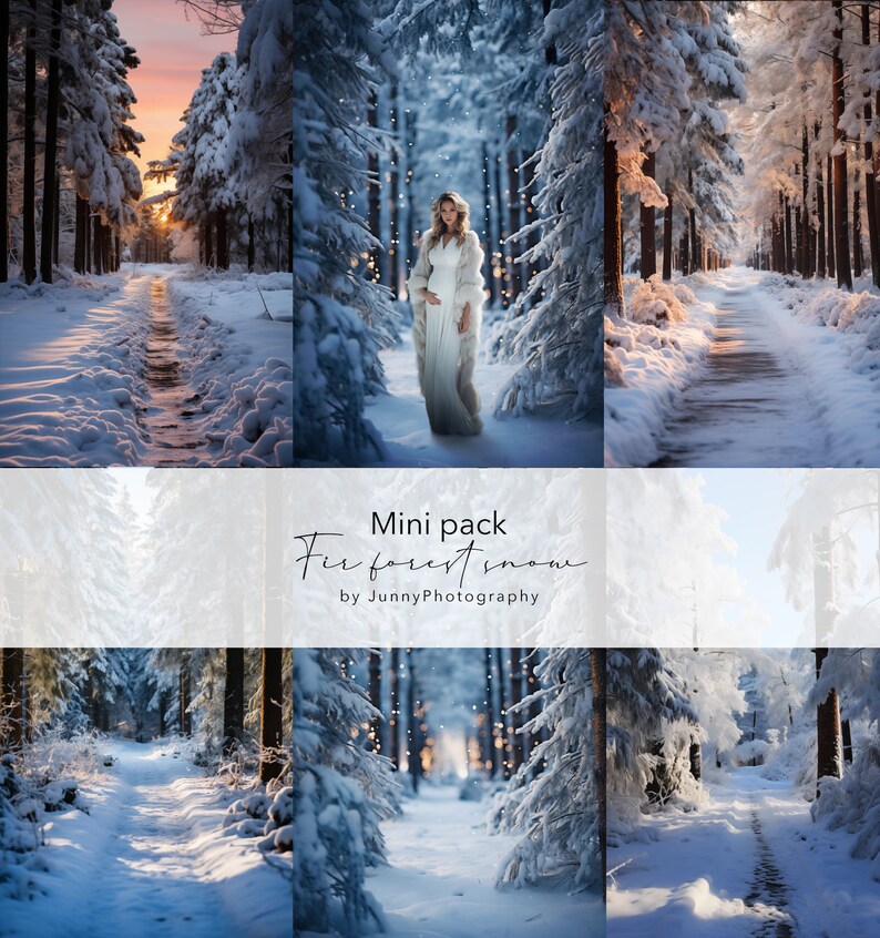 6 Digital Background of Fir Forest Scene for Photoshop, Photography ...