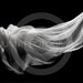 9 White Flying Fabric for Photoshop, Photography Background, Fine Art ...