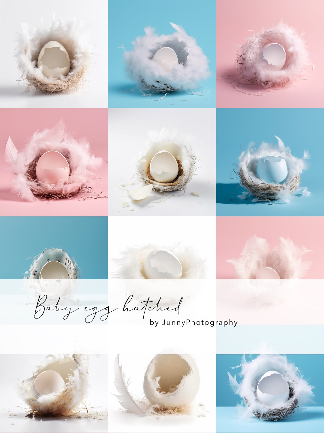 12 Newborn Hatched Egg Digital Background for Photoshop, Photography ...