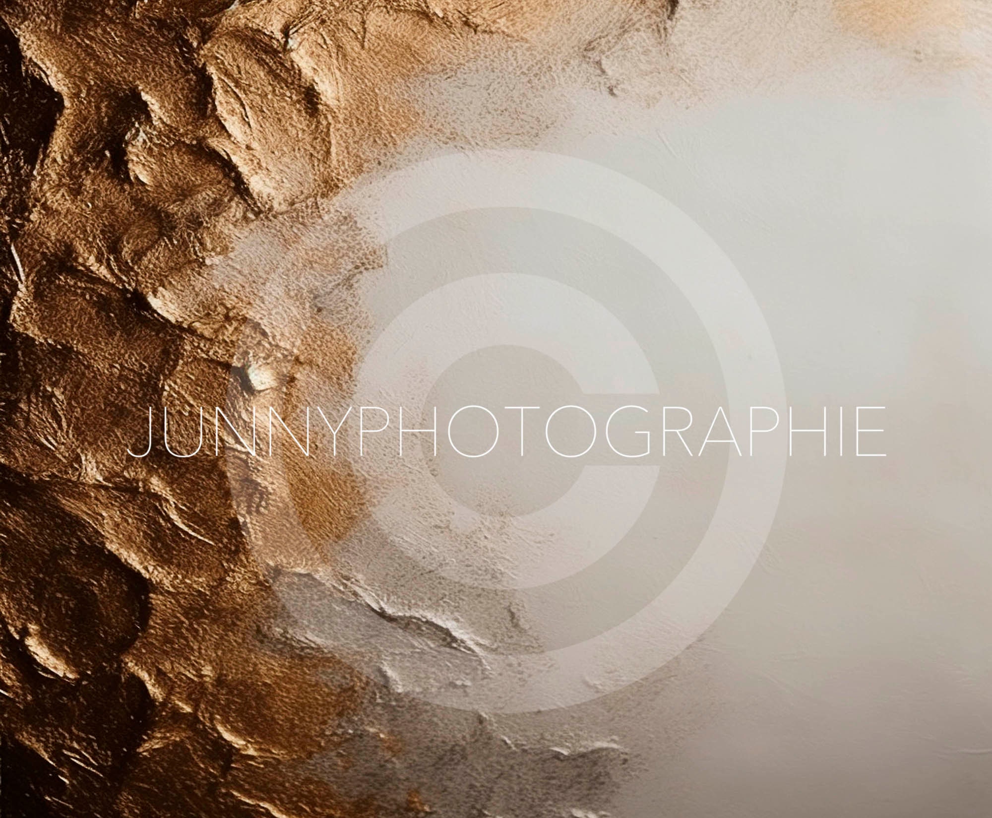 9 Gold and Cream Overlay for Photoshop, Photography Background, Fine ...