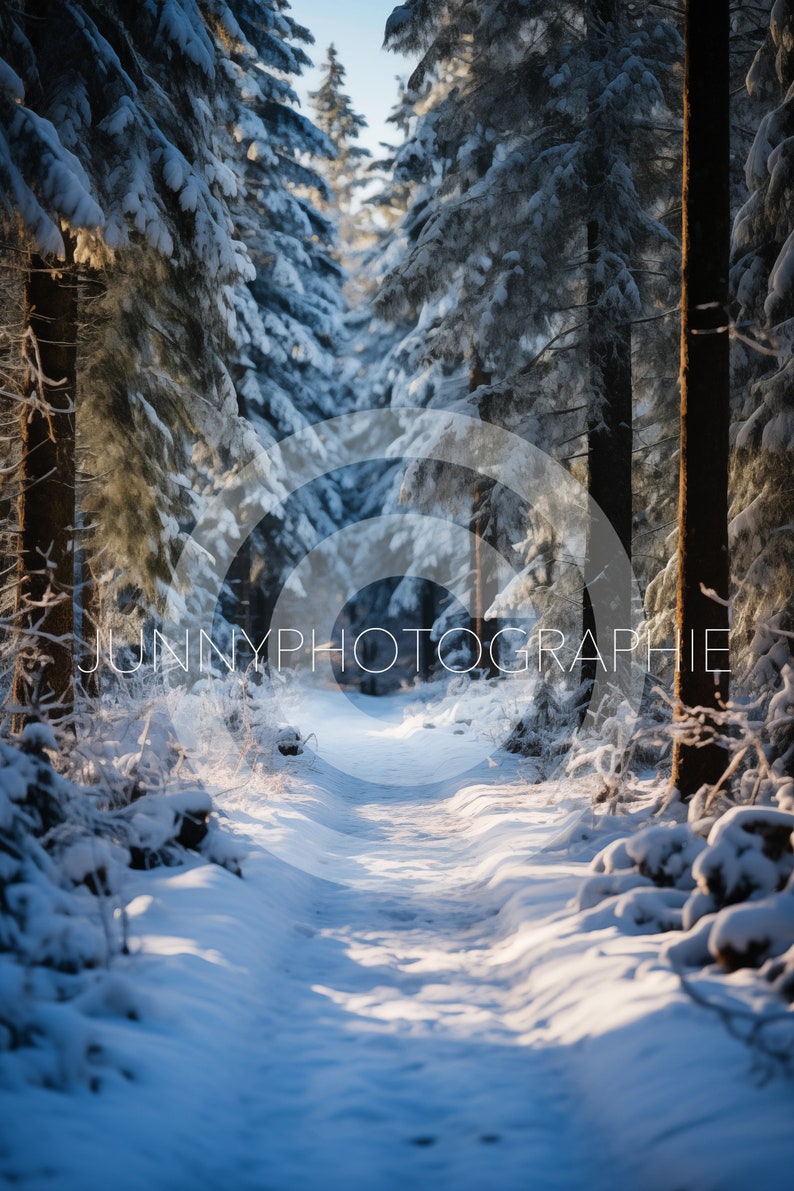 6 Digital Background of Fir Forest Scene for Photoshop, Photography ...
