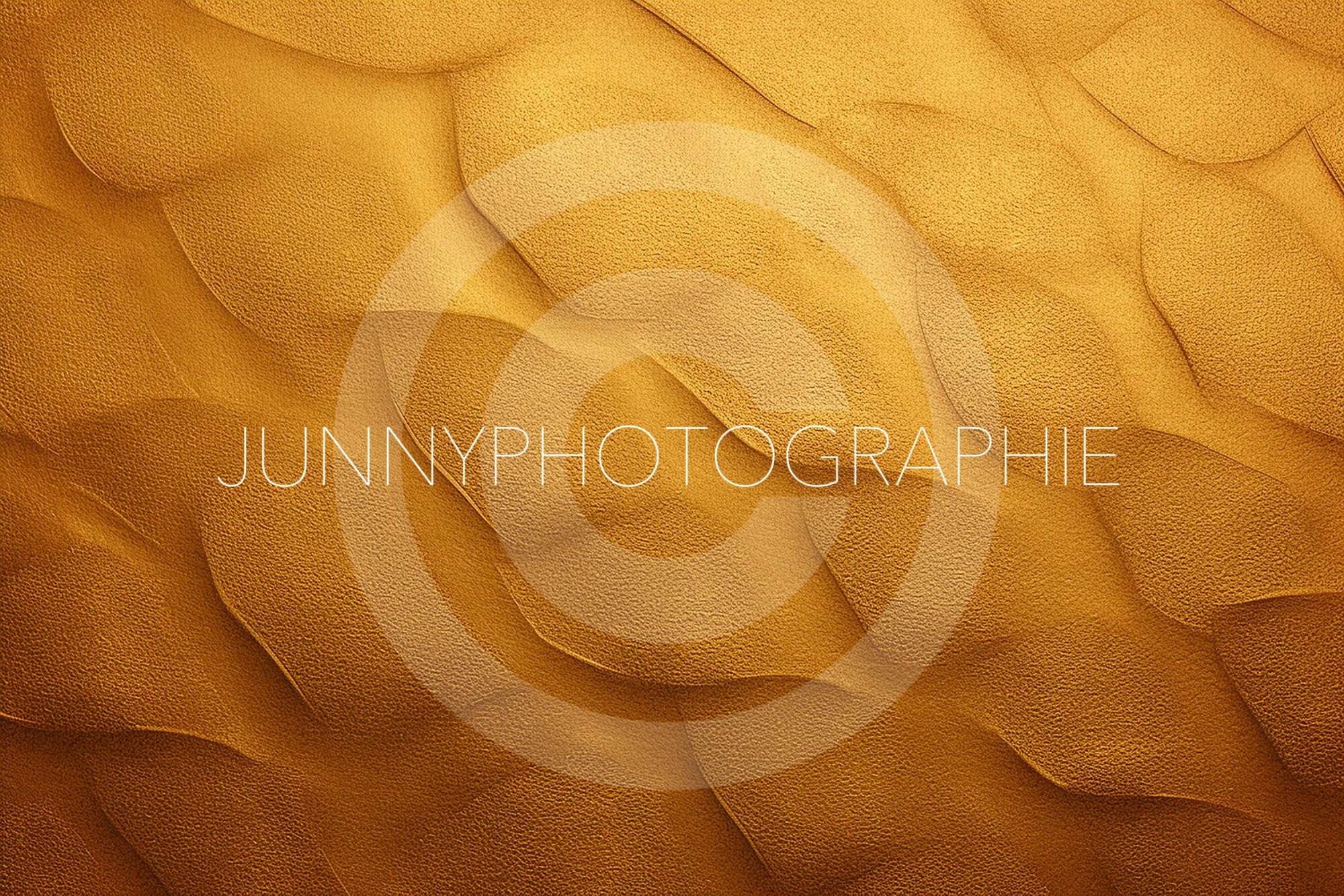 12 Gold Overlay, Digital Background for Photoshop, Fine Art Texture ...