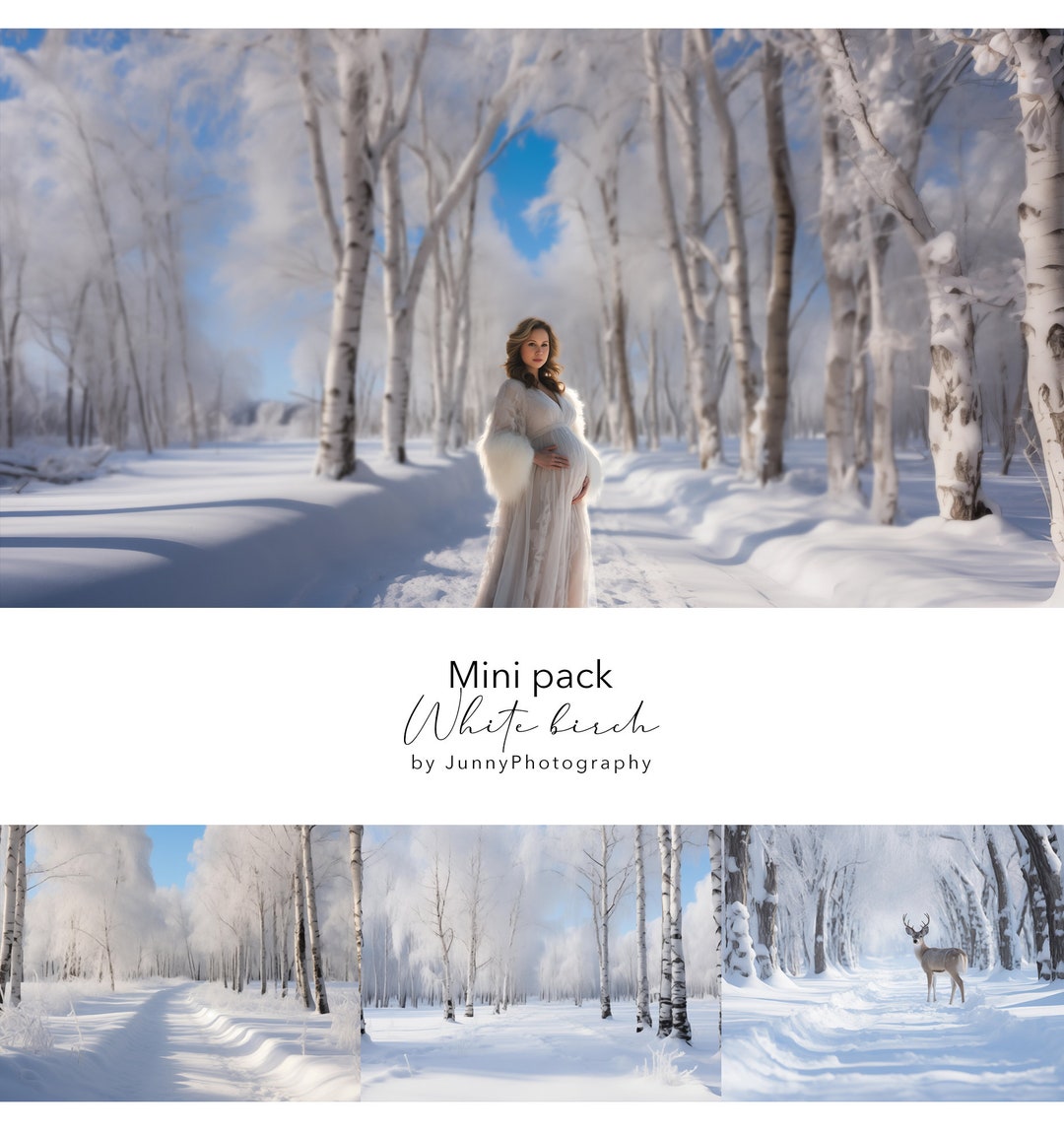 5 Winter Digital Background for Photoshop, Photography Background, Fine ...
