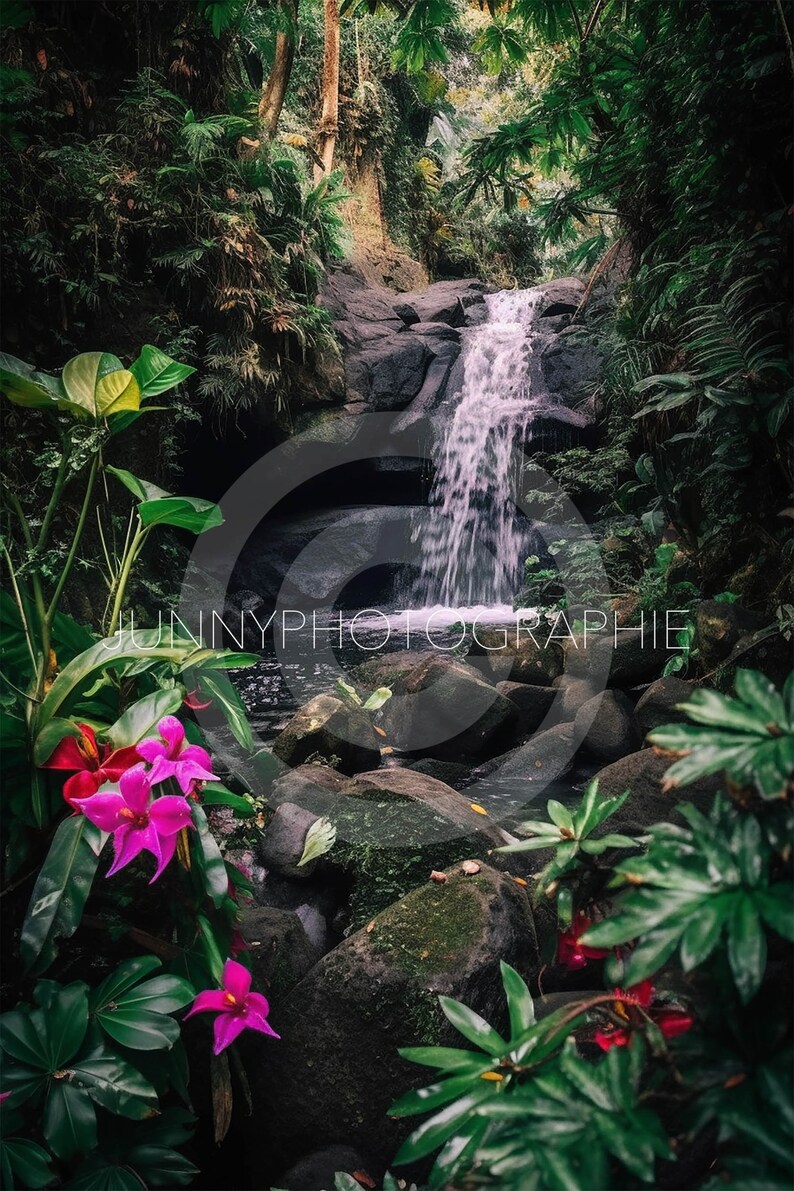 12 Tropical Waterfalls Digital Background for Photoshop, Photography ...