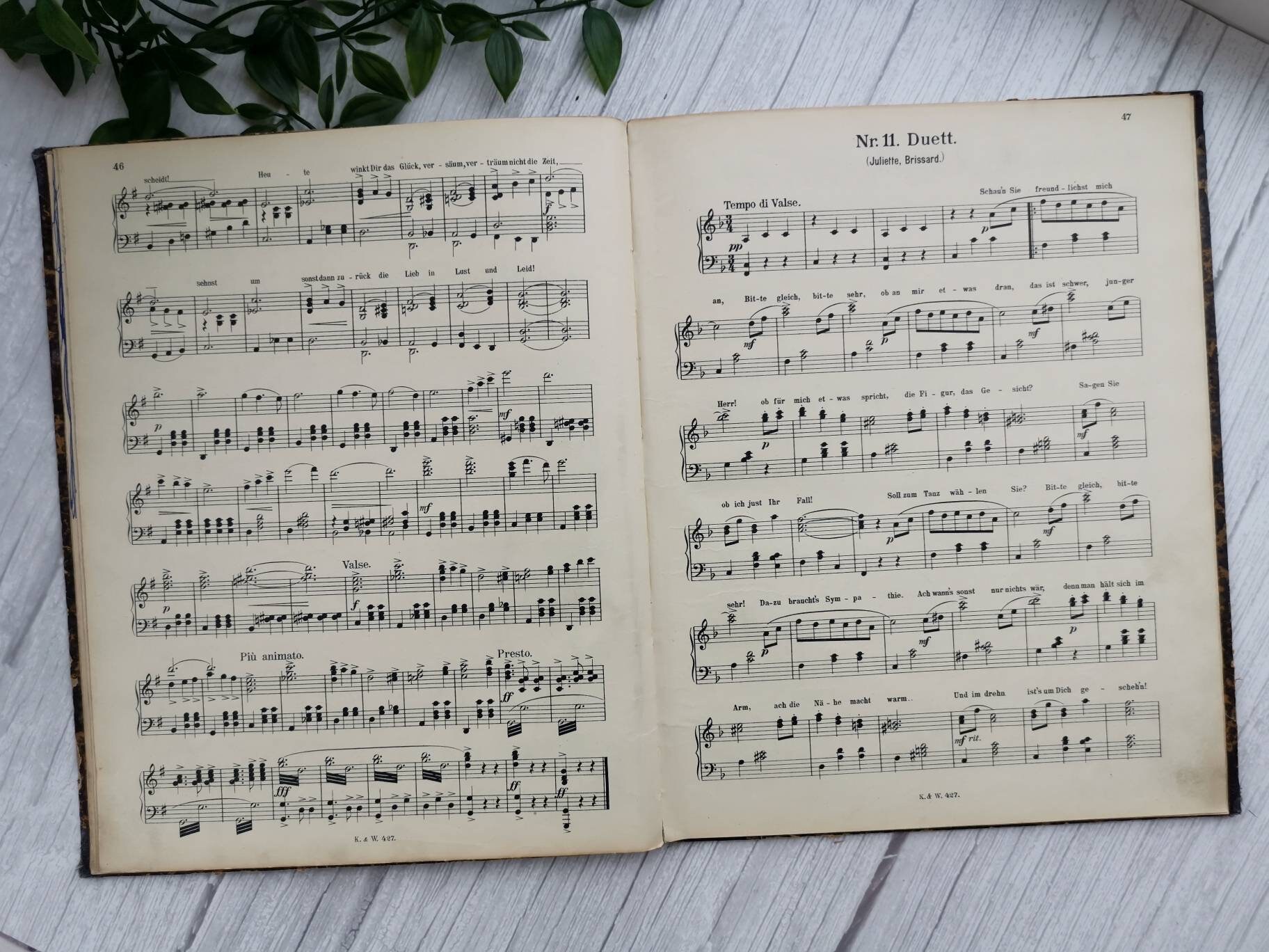 Vintage Music Book for Piano, 1909s, Antique Sheet Music Book Graf Von ...