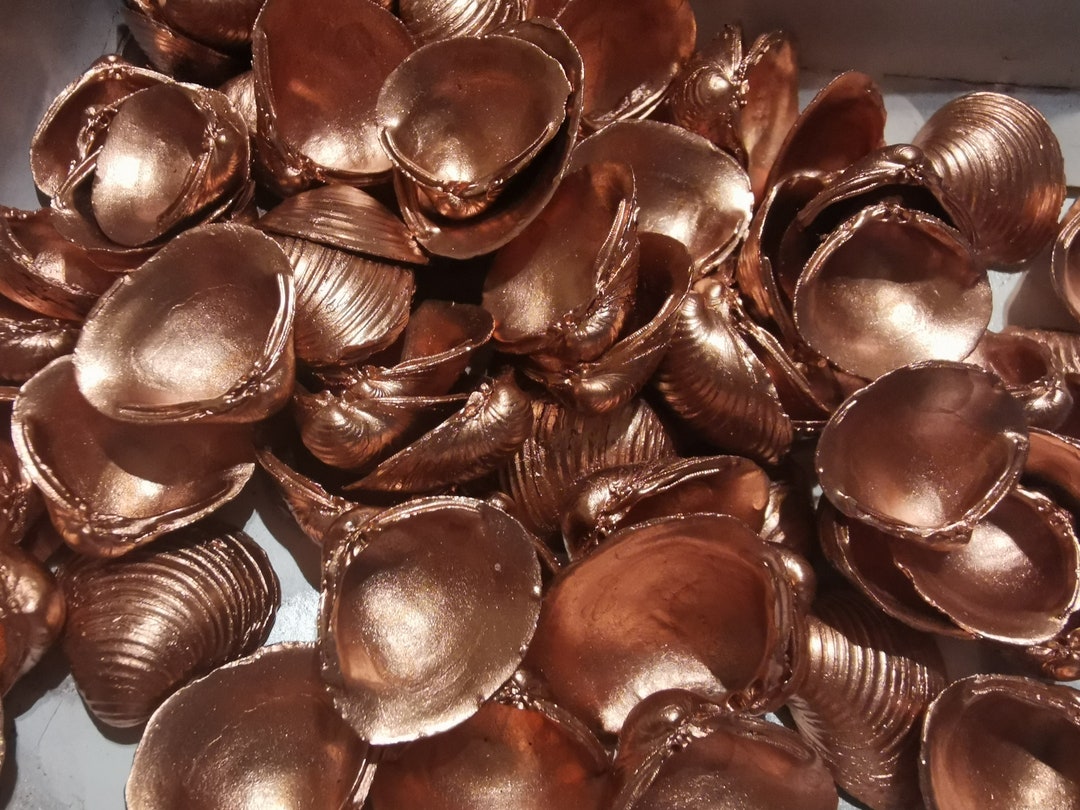 25pcs of Painted River Clam Shells From River Danube, for Crafting ...