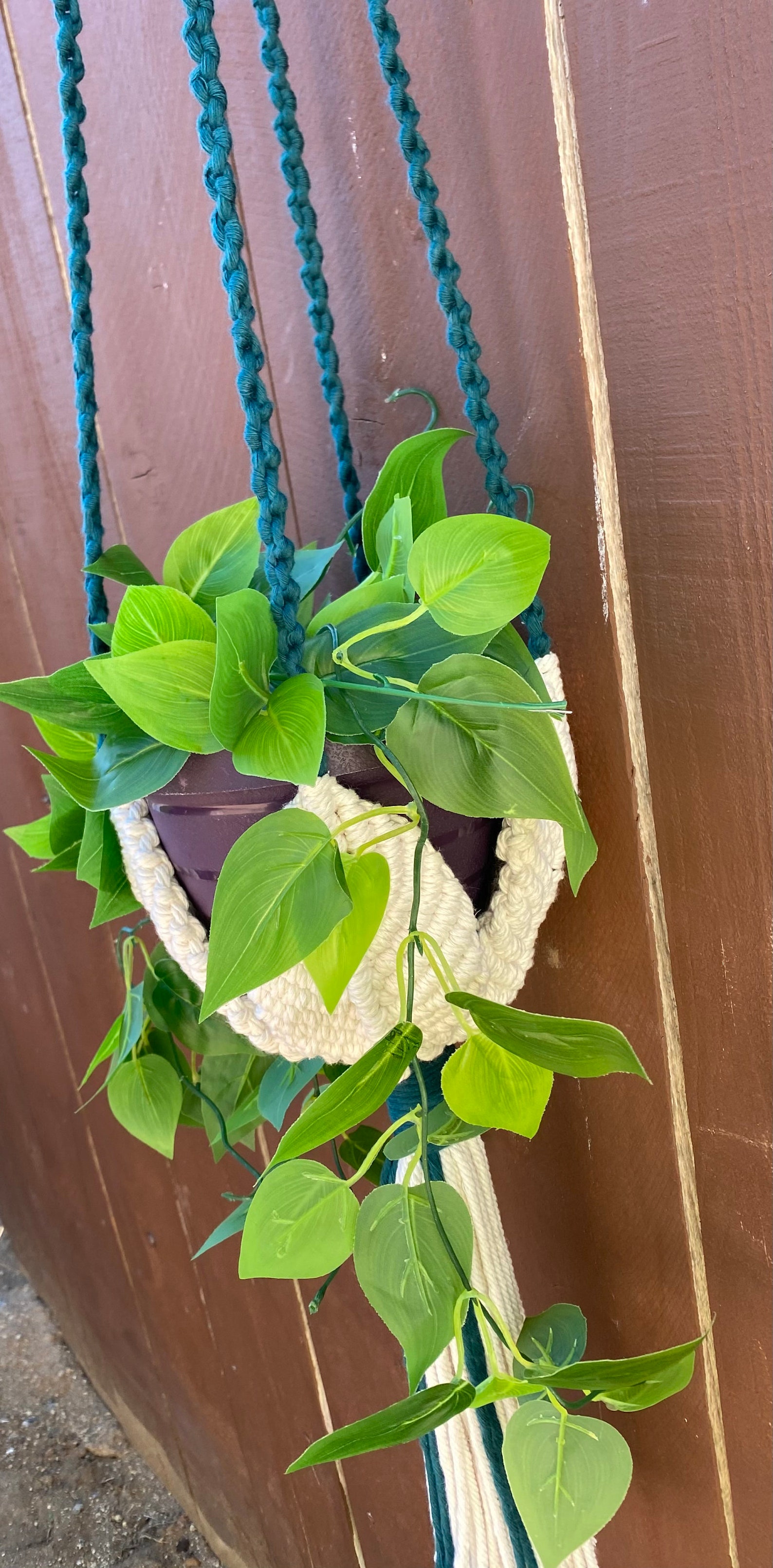 Macrame Pant Hanger Flower Petal Leafe Pattern Macrame Plant - Etsy