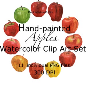 Hand Painted Watercolor Apple Clip Art Digital Download Clipart ...