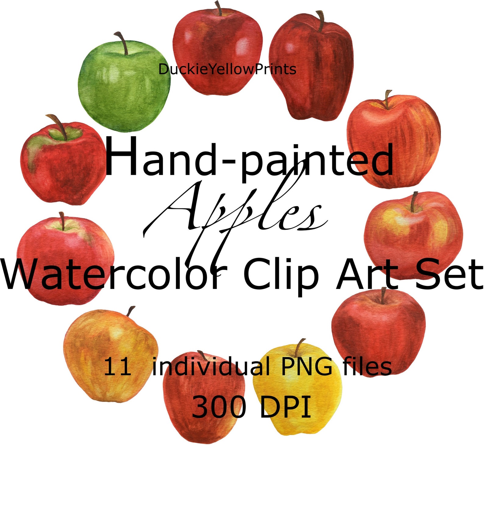 Hand Painted Watercolor Apple Clip Art Digital Download Clipart ...