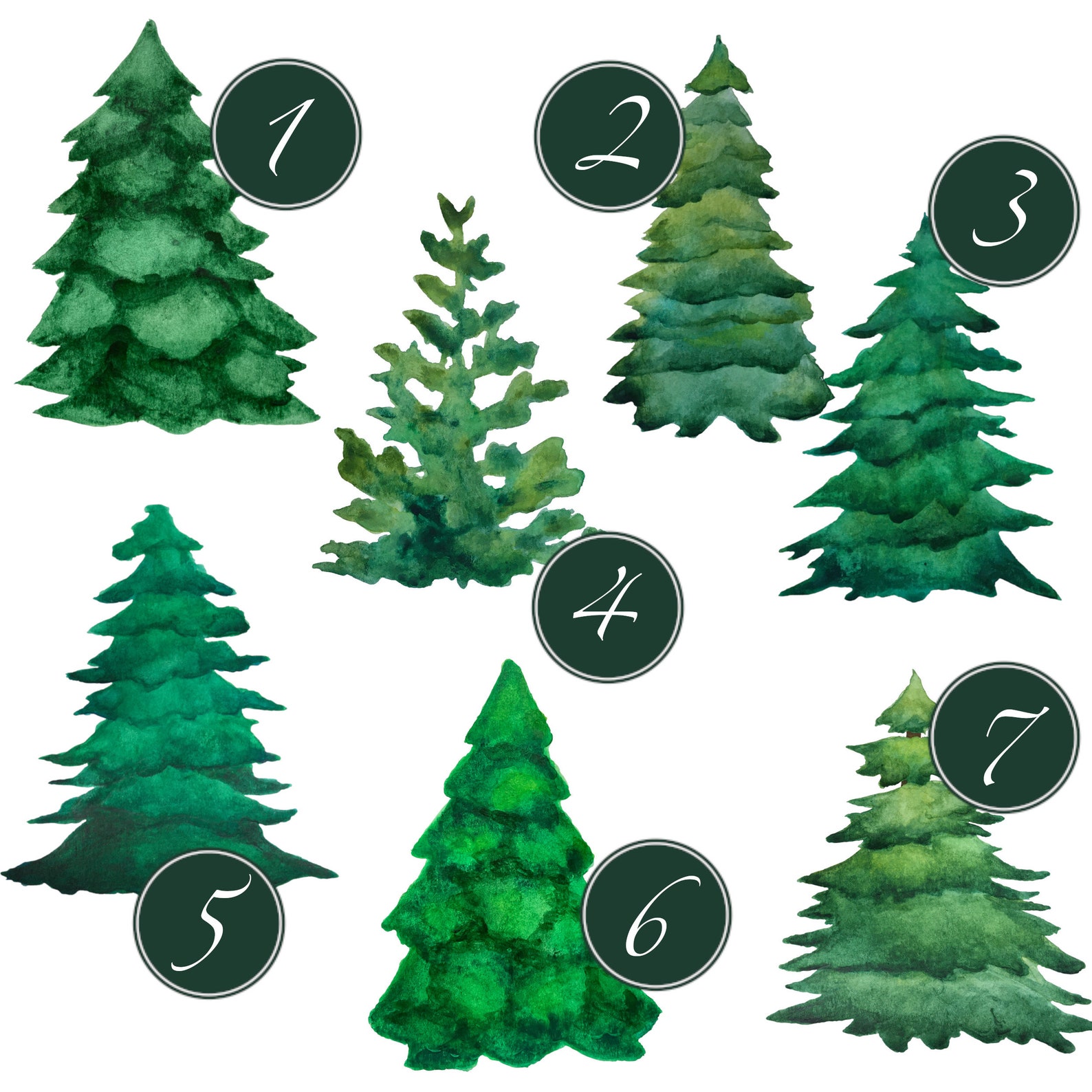 Hand Painted Watercolor Pine Tree Clip Art - Digital Download | Clipart ...