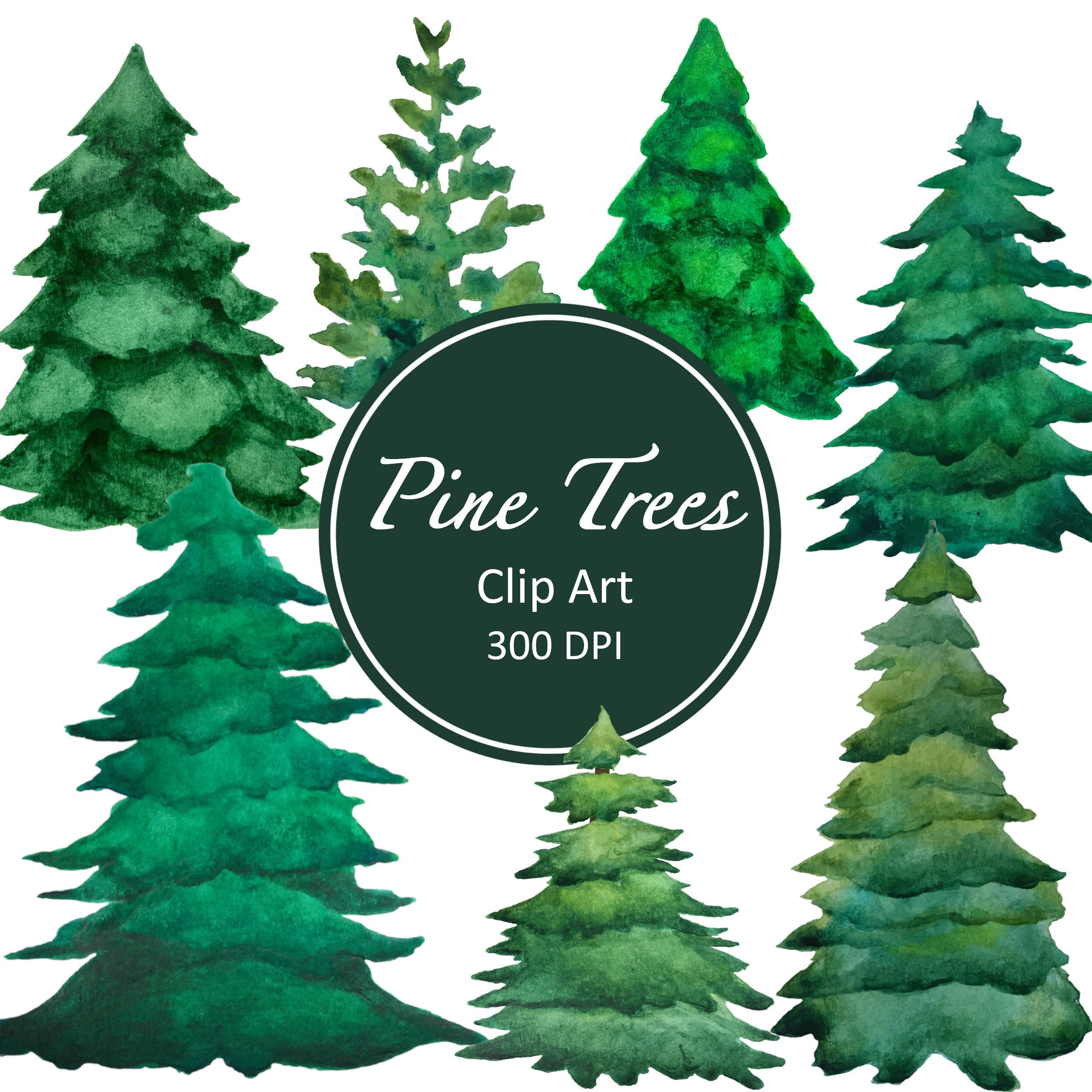 Hand Painted Watercolor Pine Tree Clip Art Digital Download Clipart ...