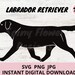 Labrador Retriever Dog Gaiting Digital Download SVG JPG PNG Clipart - Etsy