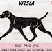 Vizsla Dog Gaiting Digital Download SVG JPG PNG Clipart - Etsy