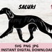 Saluki Dog Gaiting Digital Download SVG JPG PNG Clipart - Etsy