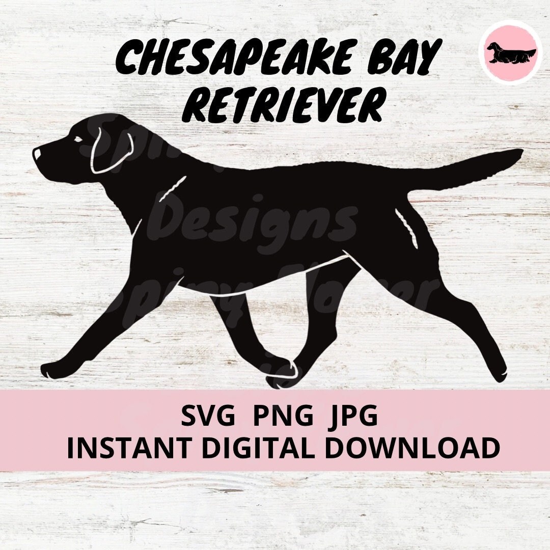 Chesapeake Bay Retriever Dog Gaiting Digital Download SVG JPG PNG ...