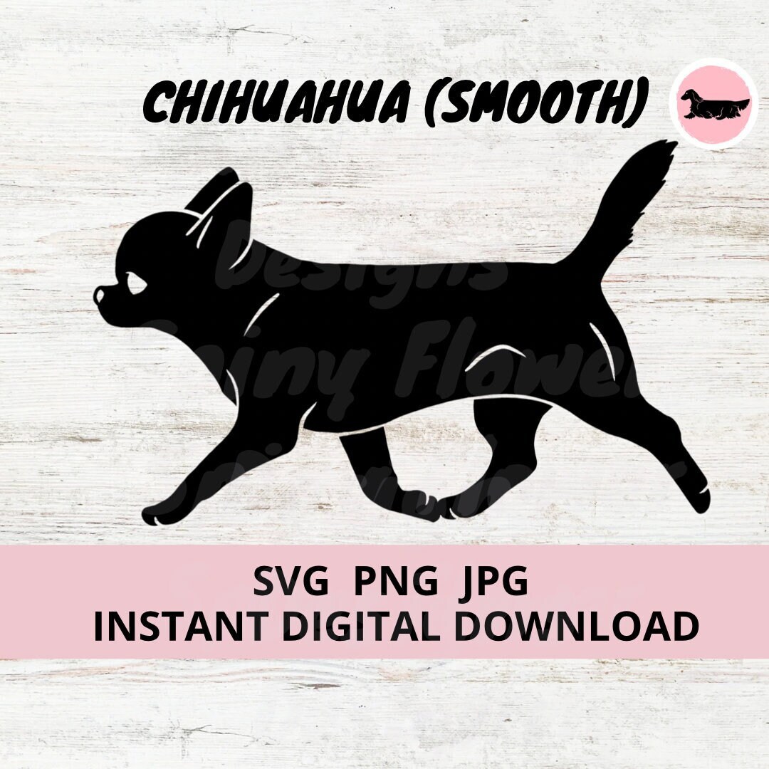 Chihuahua (smooth) Dog Gaiting Digital Download SVG JPG PNG Clipart - Etsy