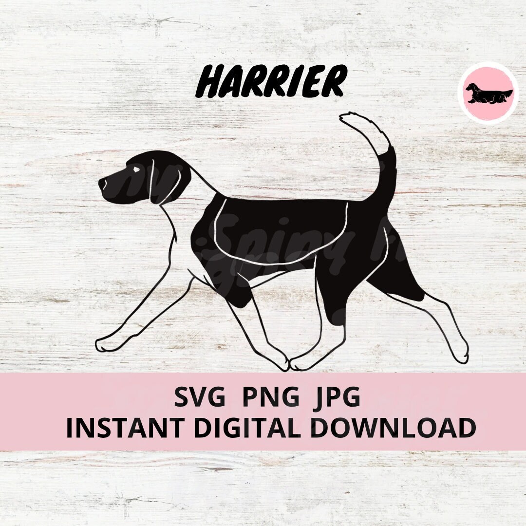 Harrier Dog Gaiting Digital Download SVG JPG PNG - Etsy