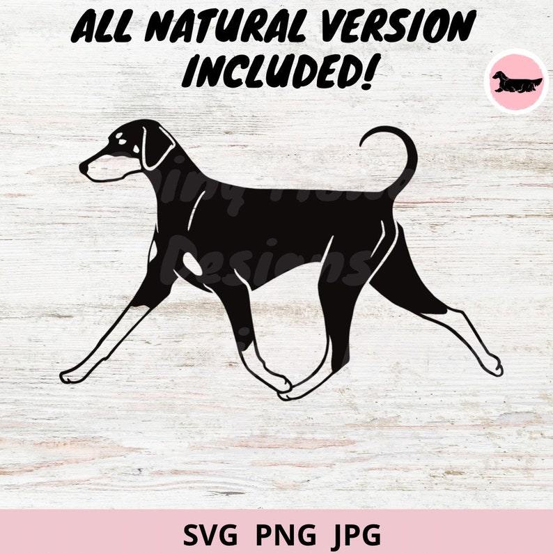 Doberman Pinscher Dog Gaiting Digital Download SVG JPG PNG Clipart - Etsy