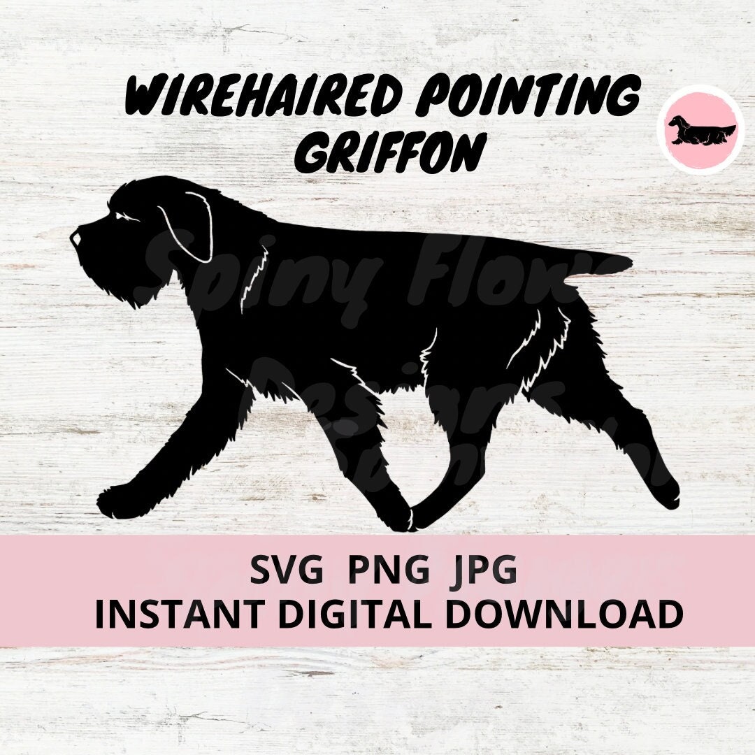 Wirehaired Pointing Griffon Korthals Griffon Gaiting Dog Digital ...