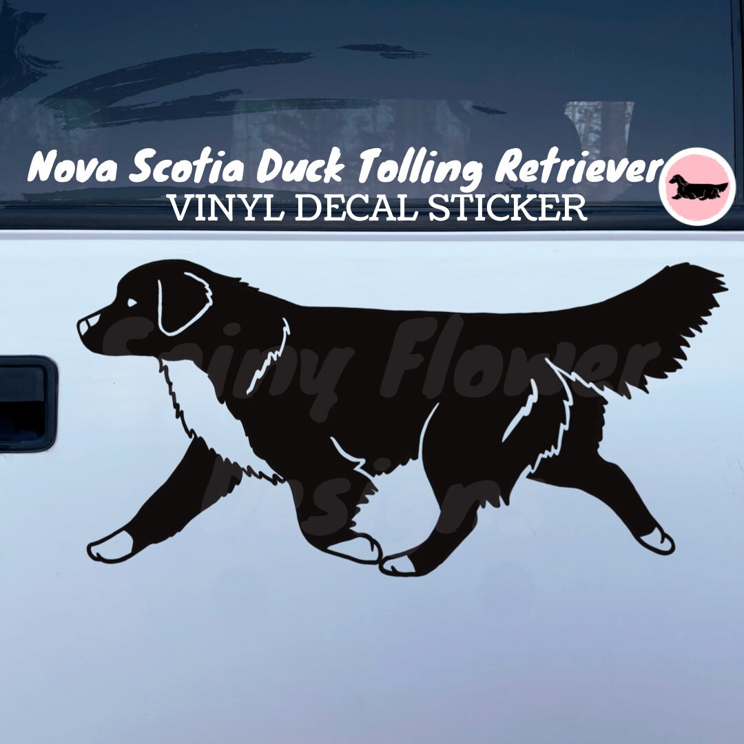 Can A Nova Scotia Duck Tolling Retriever And A Kars Be Friends