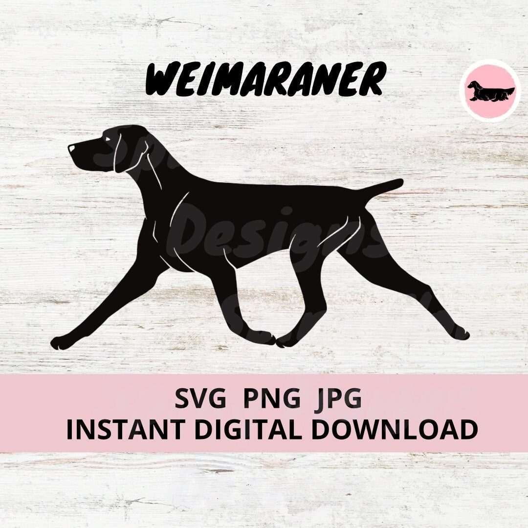 Weimaraner Dog Gaiting Digital Download SVG JPG PNG Clipart - Etsy
