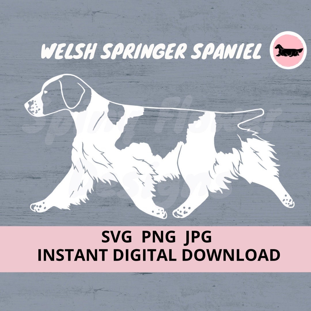 Welsh Springer Spaniel Dog Gaiting Digital Download SVG JPG PNG Clipart ...