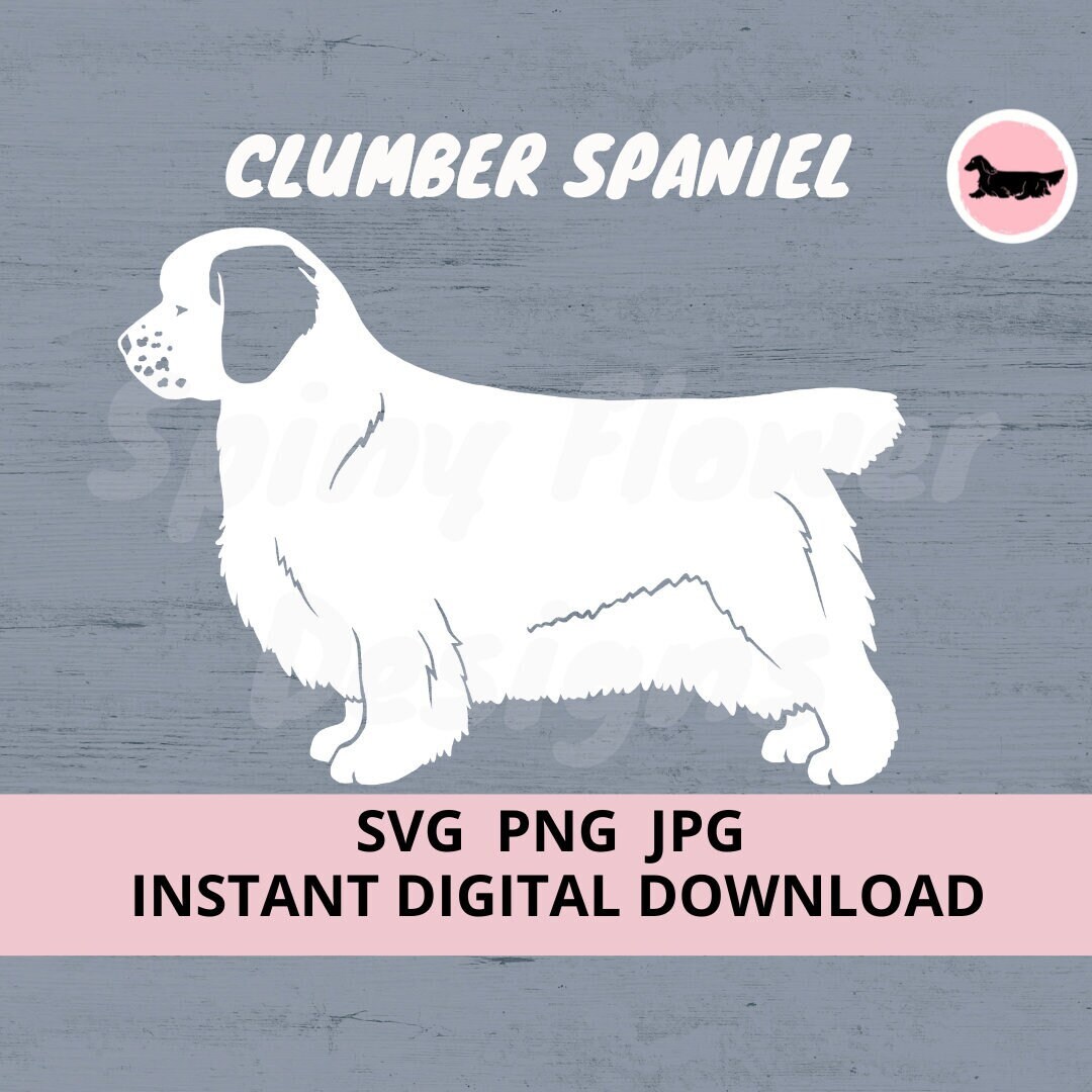 Clumber Spaniel Dog Digital Download SVG JPG PNG Clipart - Etsy