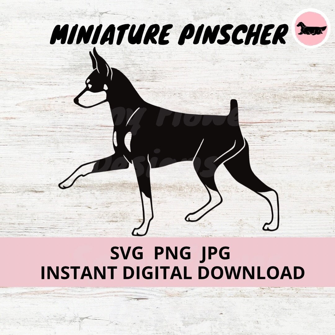 Miniature Pinscher Dog Gaiting Digital Download SVG JPG PNG Clipart - Etsy