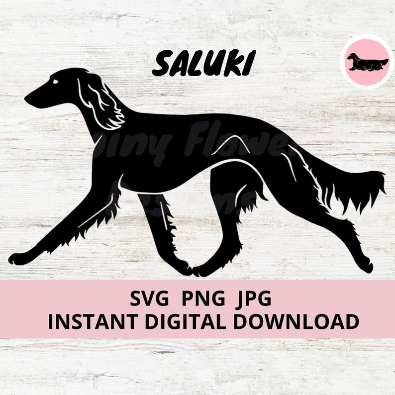 Saluki Dog Gaiting Digital Download SVG JPG PNG Clipart - Etsy
