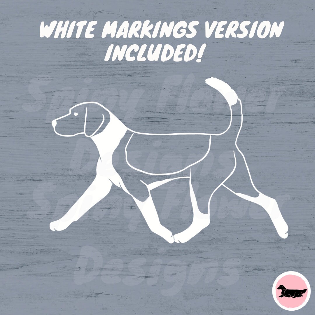Harrier Dog Gaiting Digital Download SVG JPG PNG - Etsy