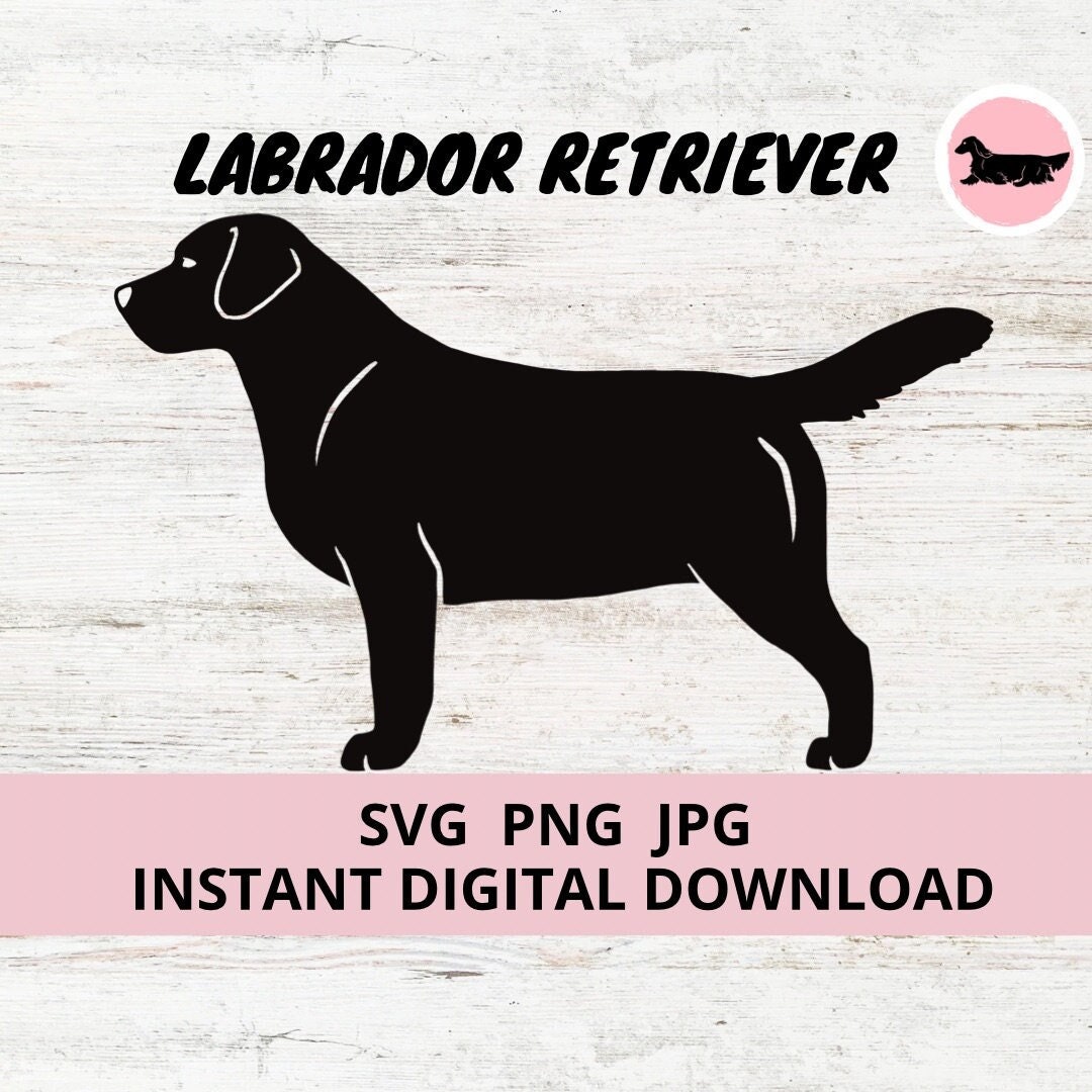 Labrador Retriever Dog Standing Digital Download SVG JPG PNG Clipart - Etsy