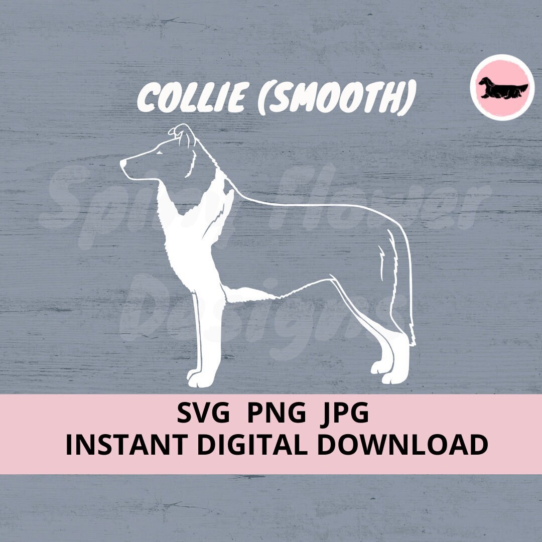 Collie (smooth) Dog Digital Download SVG JPG PNG Clipart - Etsy