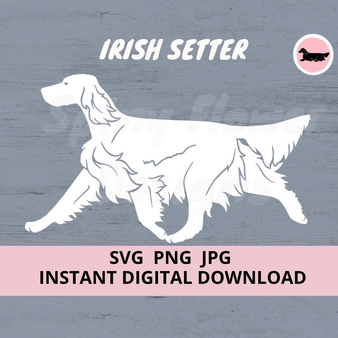 Irish Setter Dog Gaiting Digital Download SVG JPG PNG Clipart - Etsy