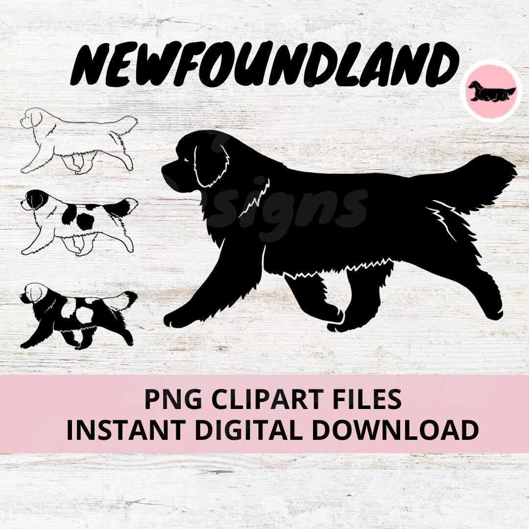 Newfoundland Dog Gaiting Digital Download PNG Clipart File - Etsy