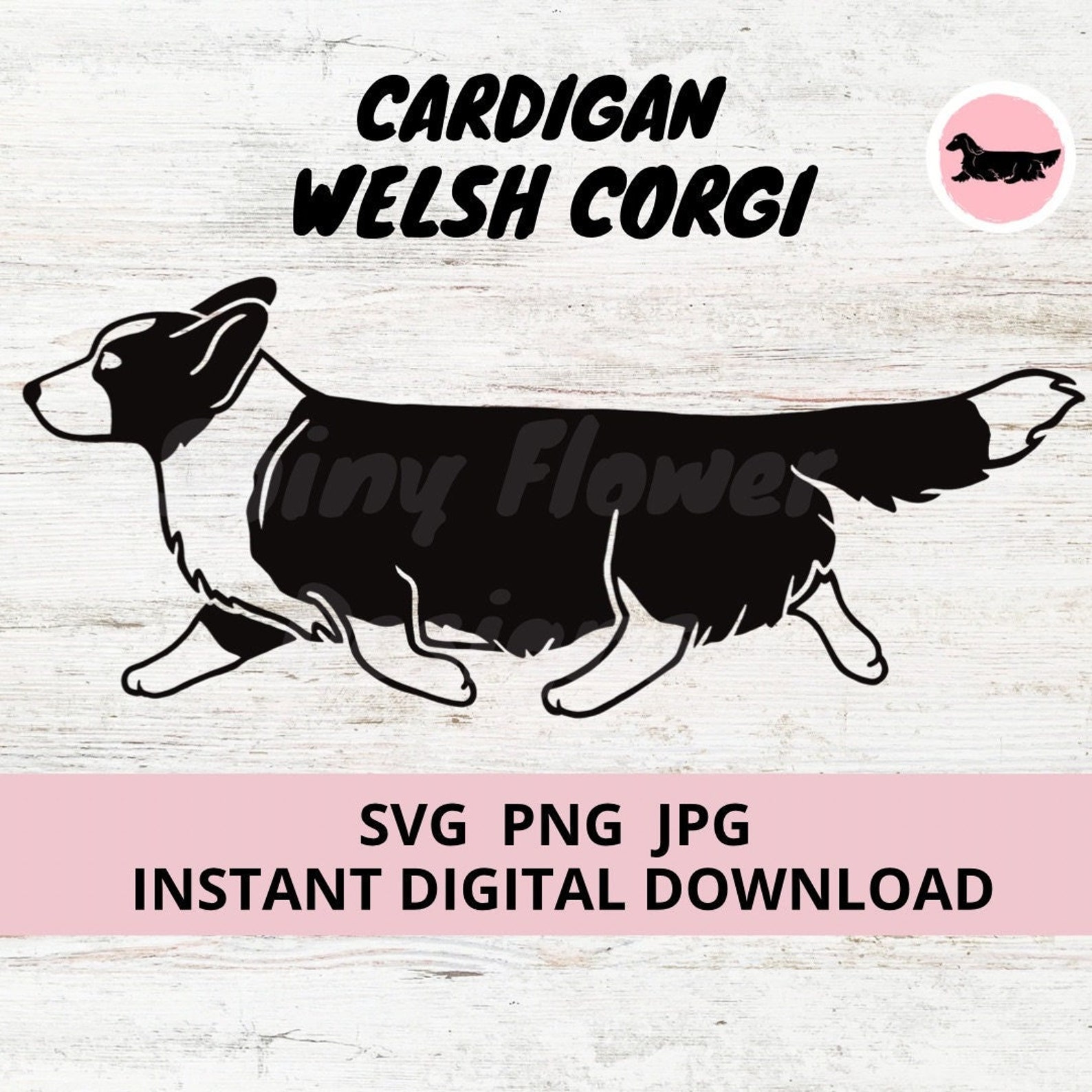 Cardigan Welsh Corgi Dog Gaiting Digital Download SVG JPG PNG Clipart ...