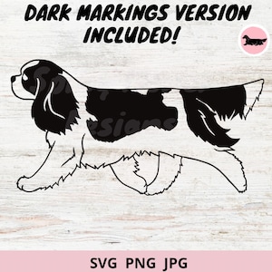 Cavalier King Charles Spaniel Dog Gaiting Digital Download SVG JPG PNG ...