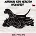 American Cocker Spaniel Dog Gaiting Digital Download SVG JPG PNG ...