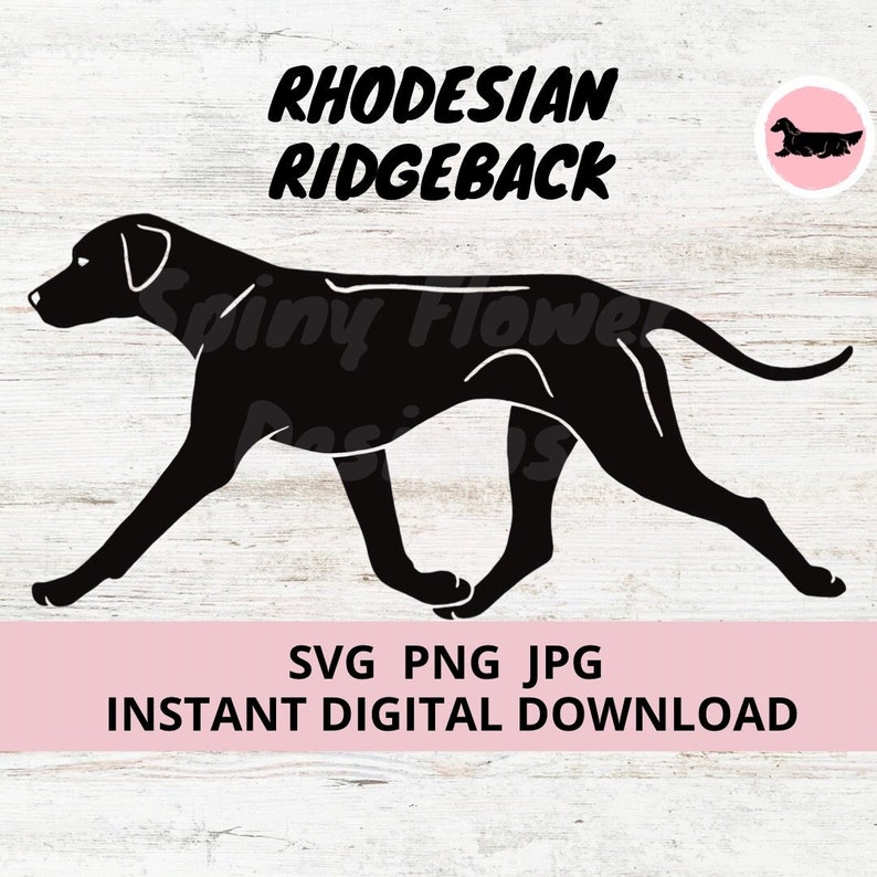 Rhodesian Ridgeback Dog Gaiting Digital Download SVG JPG PNG - Etsy
