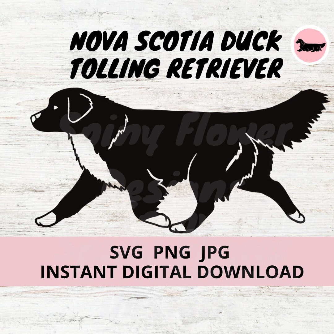 Nova Scotia Duck Tolling Retriever Dog Gaiting Digital Download SVG JPG ...