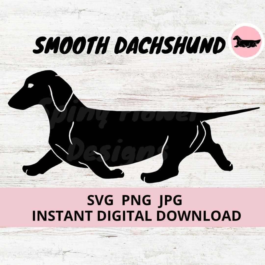 Dachshund (smooth) Dog Gaiting Digital Download SVG JPG PNG Clipart - Etsy