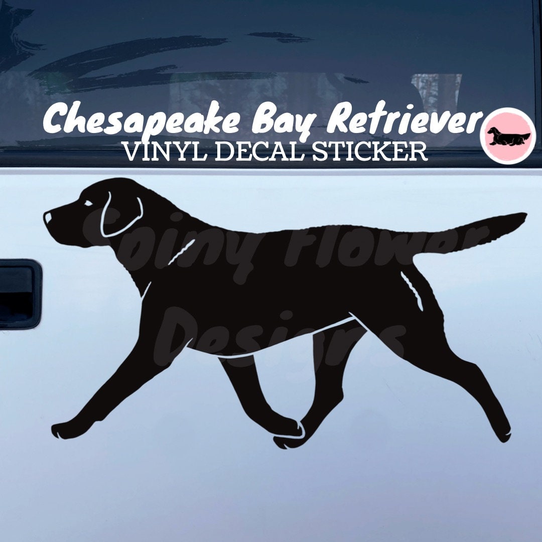 Chesapeake Bay Retriever Dog Vinyl Decal / Bumper Sticker - Etsy