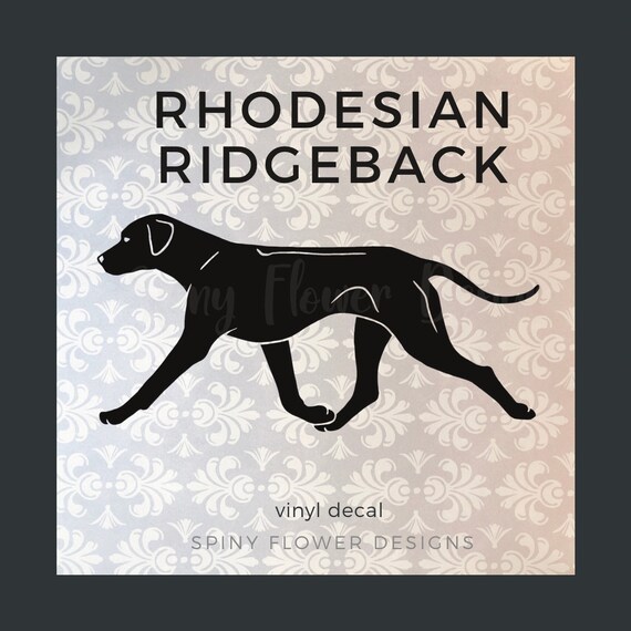 Rhodesian Ridgeback Dog Vinyl Decal / Bumper Sticker | Etsy