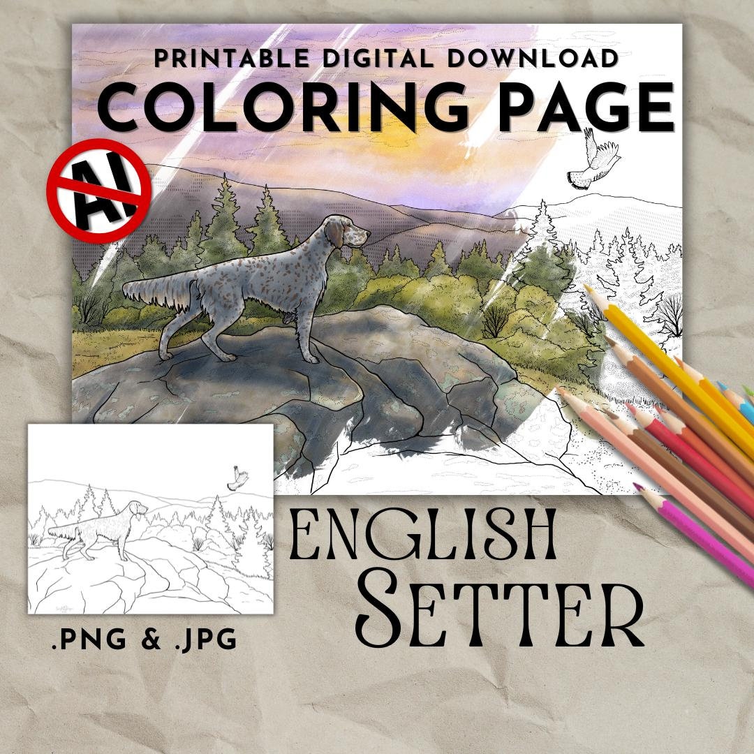 English Setter Coloring Page Instant Digital Download Upland Hunting ...