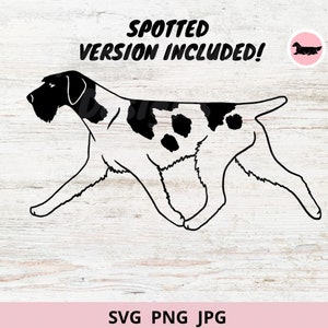 German Wirehaired Pointer Deutsch Drahthaar Dog Gaiting Digital ...
